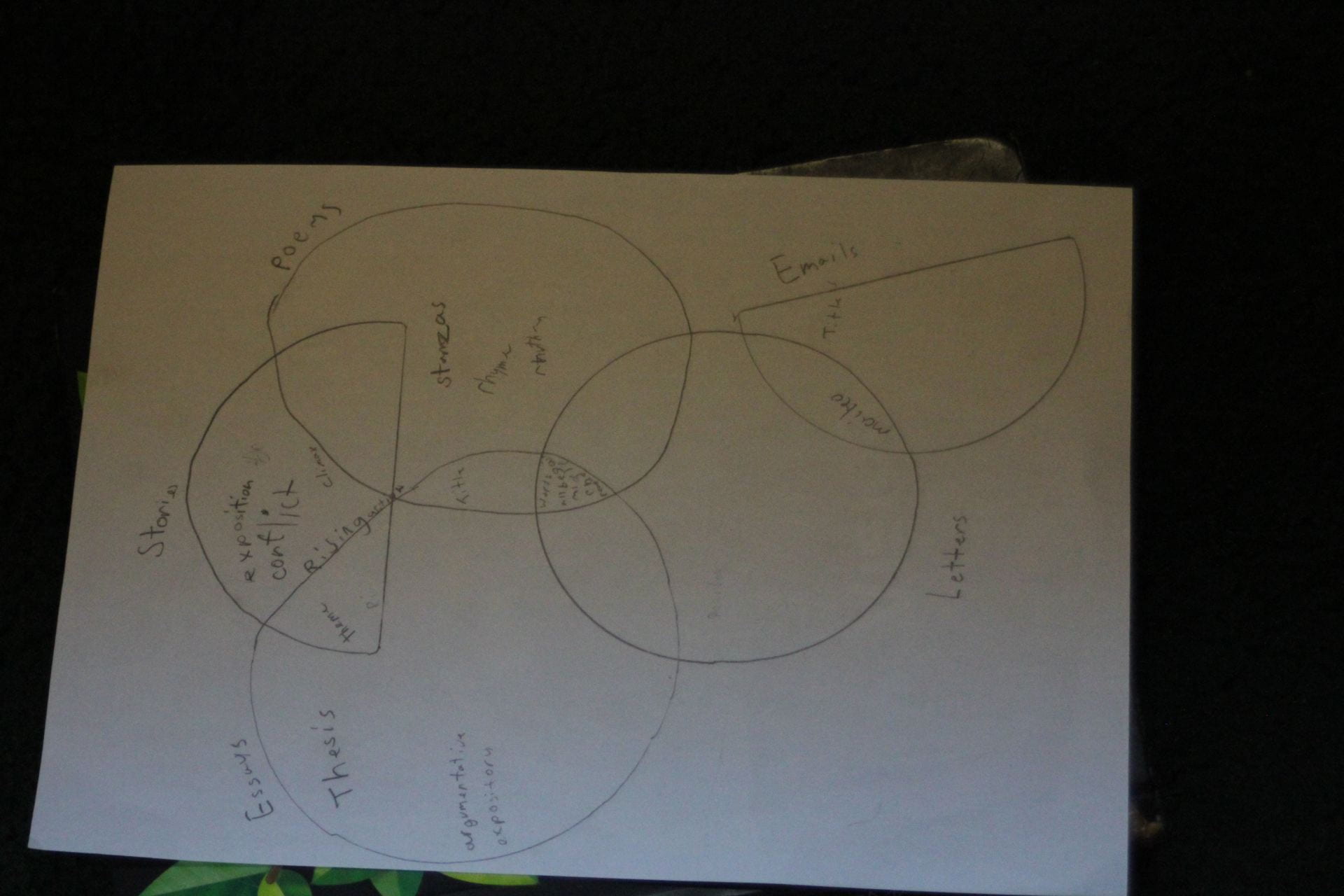 Comparing, Contrasting and… Collecting. – Mrs. Rupp's Class
