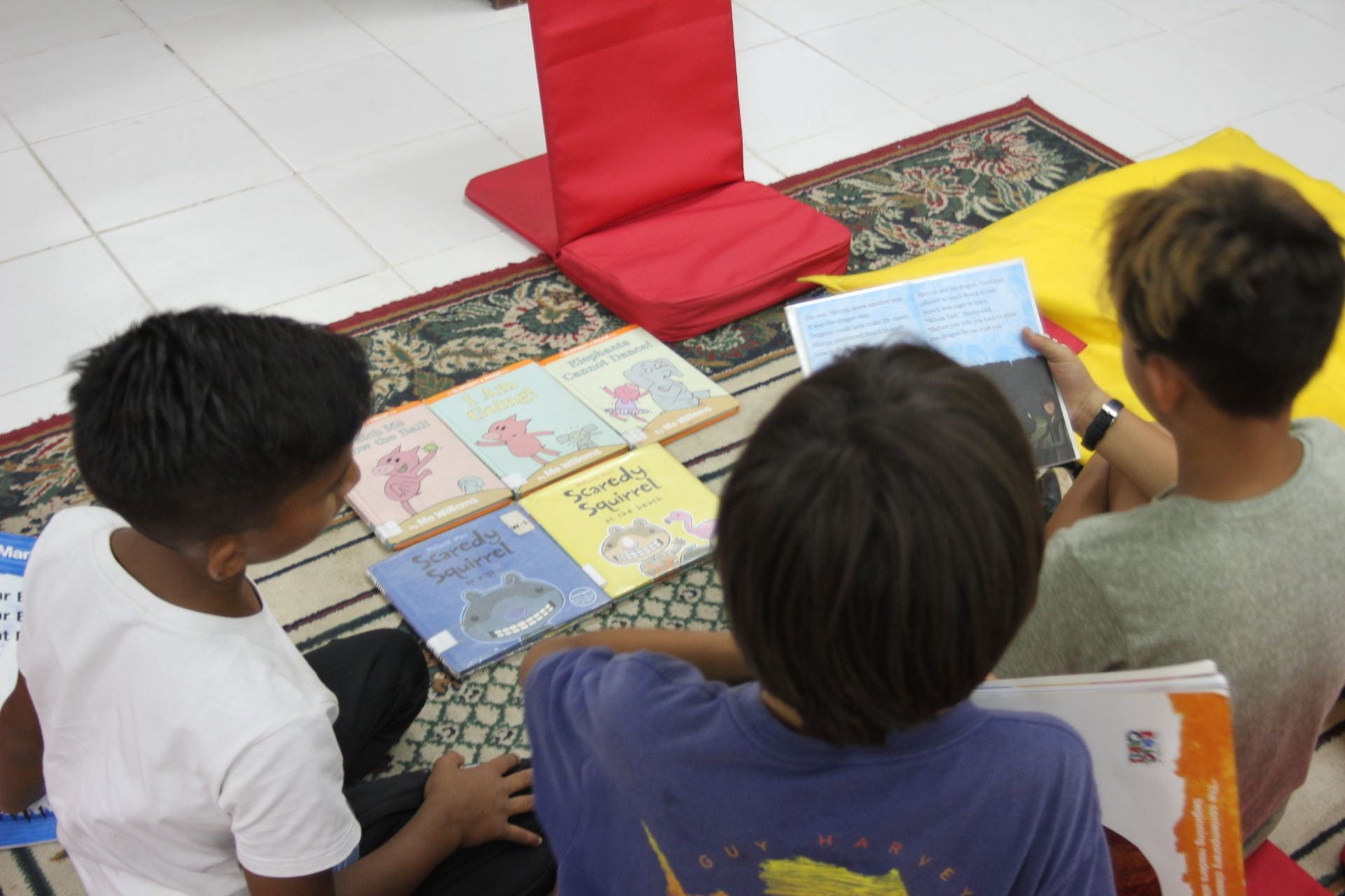 Comparing, Contrasting and… Collecting. – Mrs. Rupp's Class